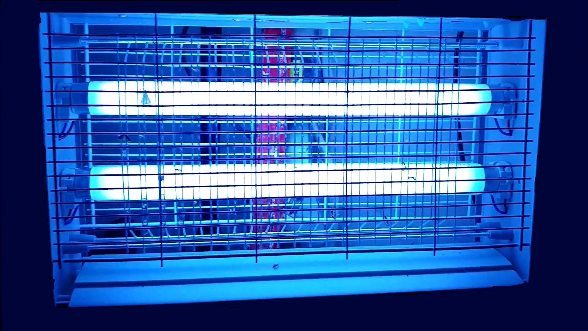 Insect Killers – Snowlite